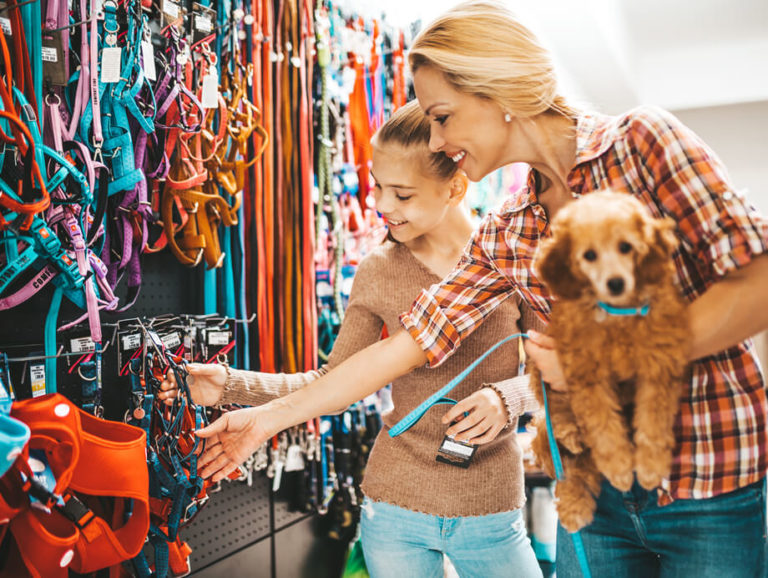 寵物店零售POS系統 | 預訂寵物用品&幼子服務 |會員儲值+促銷優惠 | 進銷存系統