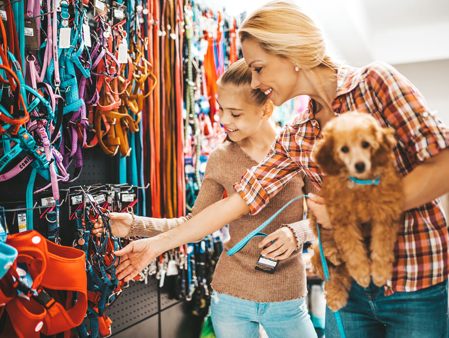 Pet Shops – eRun Systems Limited